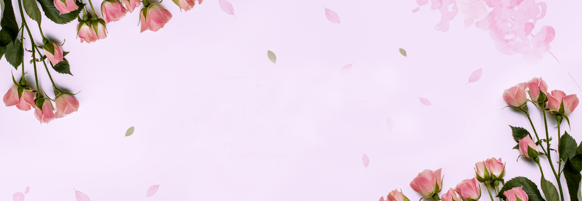 Anne Home Care - Flower Shop